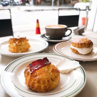 新竹好吃司康｜FOX.CONE coffee & bakes ｜ POPO筆記